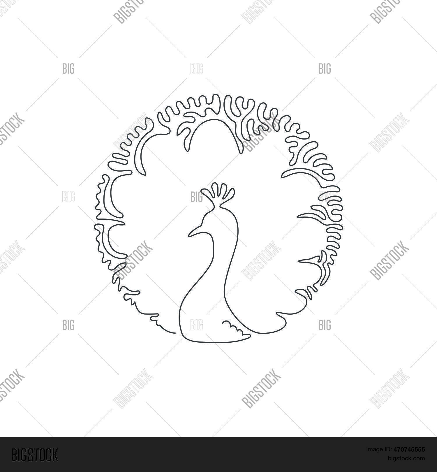 Vector y foto Continuous Curve (prueba gratis) | Bigstock