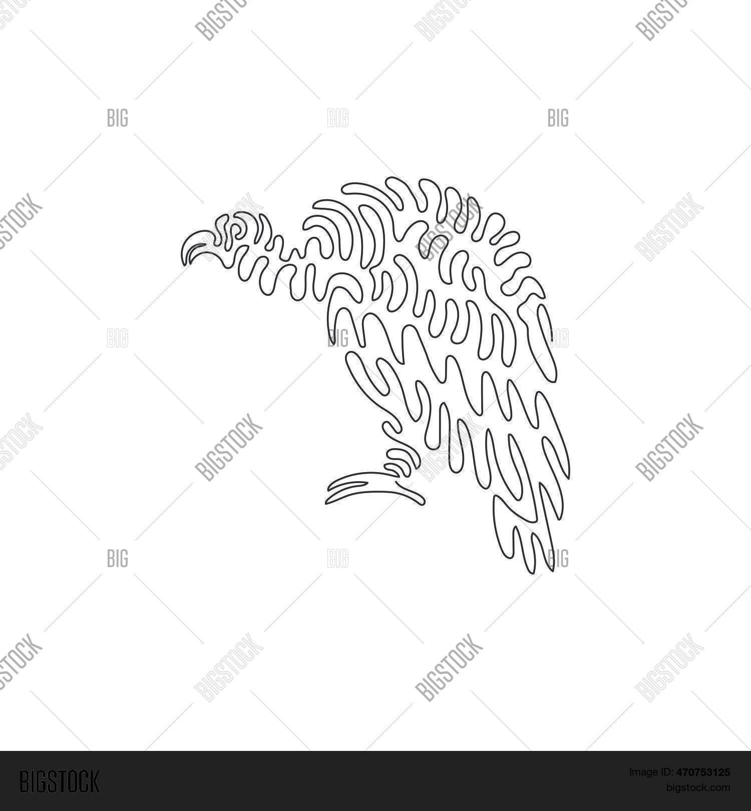 Single Swirl Vector & Photo (Free Trial) | Bigstock