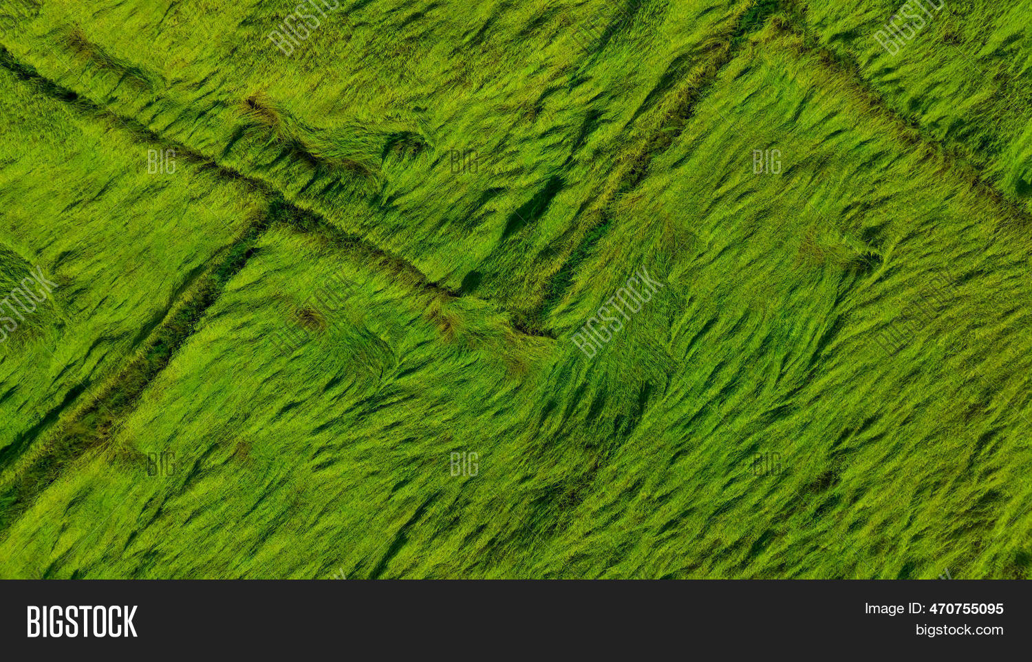 Imagen y foto Aerial View Green (prueba gratis) | Bigstock