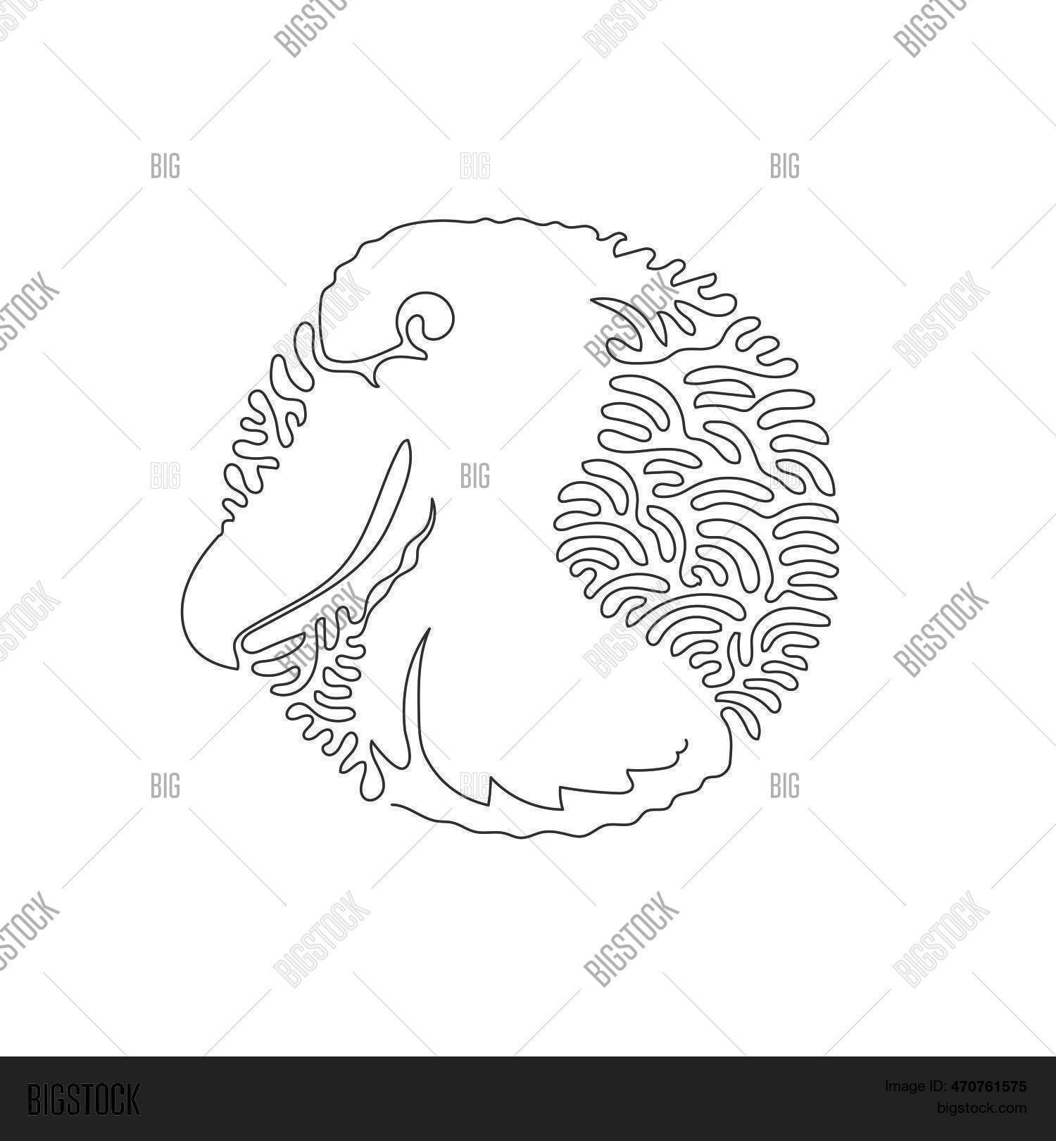 Single Curly One Line Vector & Photo (Free Trial) | Bigstock