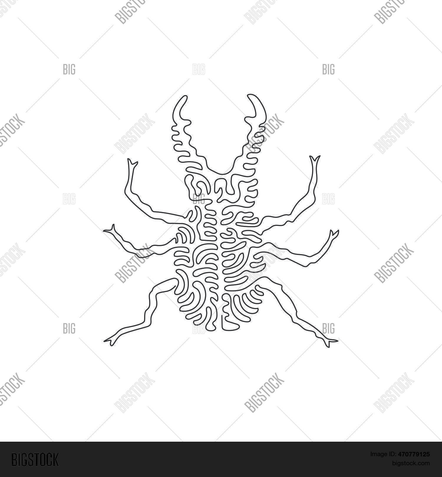 Continuous Curve One Vector And Photo Free Trial Bigstock