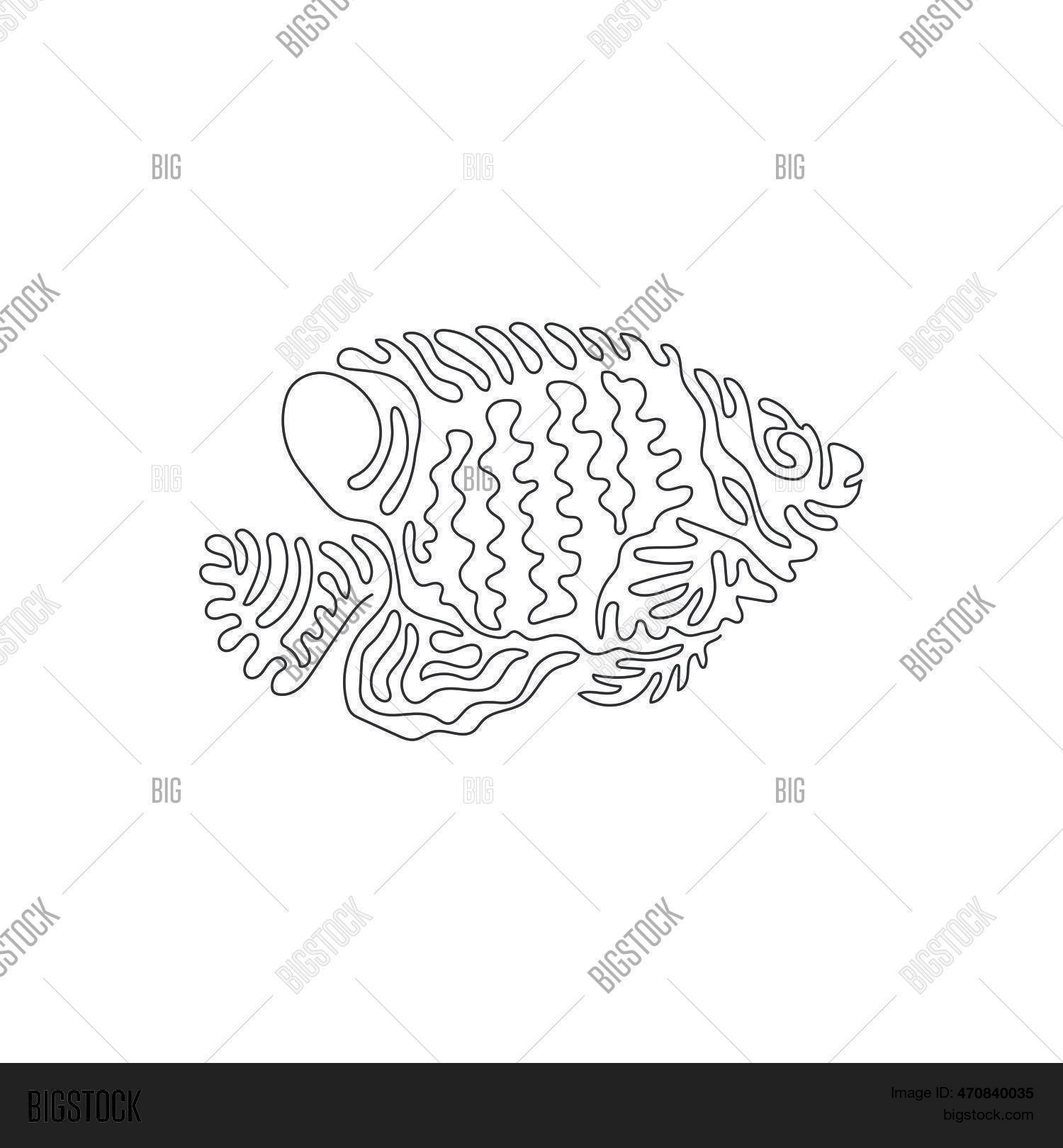 Single Swirl Vector & Photo (Free Trial) | Bigstock