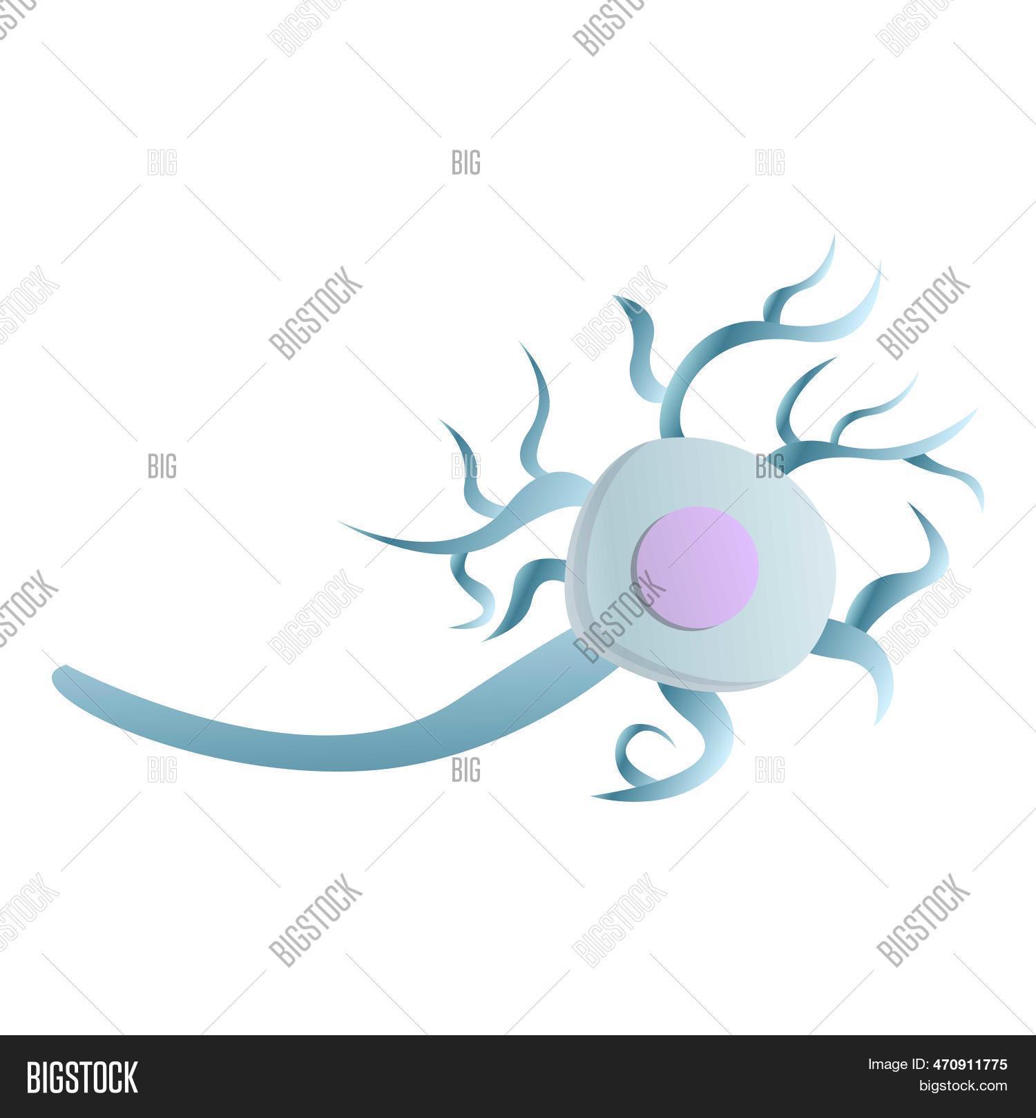 Brain Neuron Icon. Image & Photo (Free Trial) | Bigstock