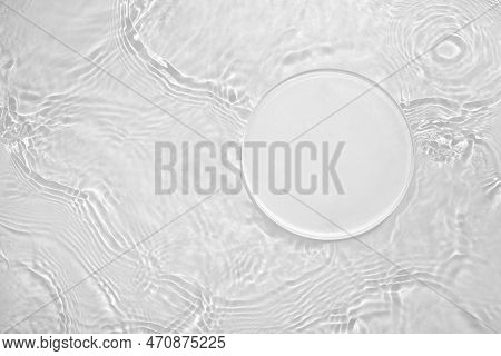 Empty Clear Circle Image & Photo (Free Trial) | Bigstock