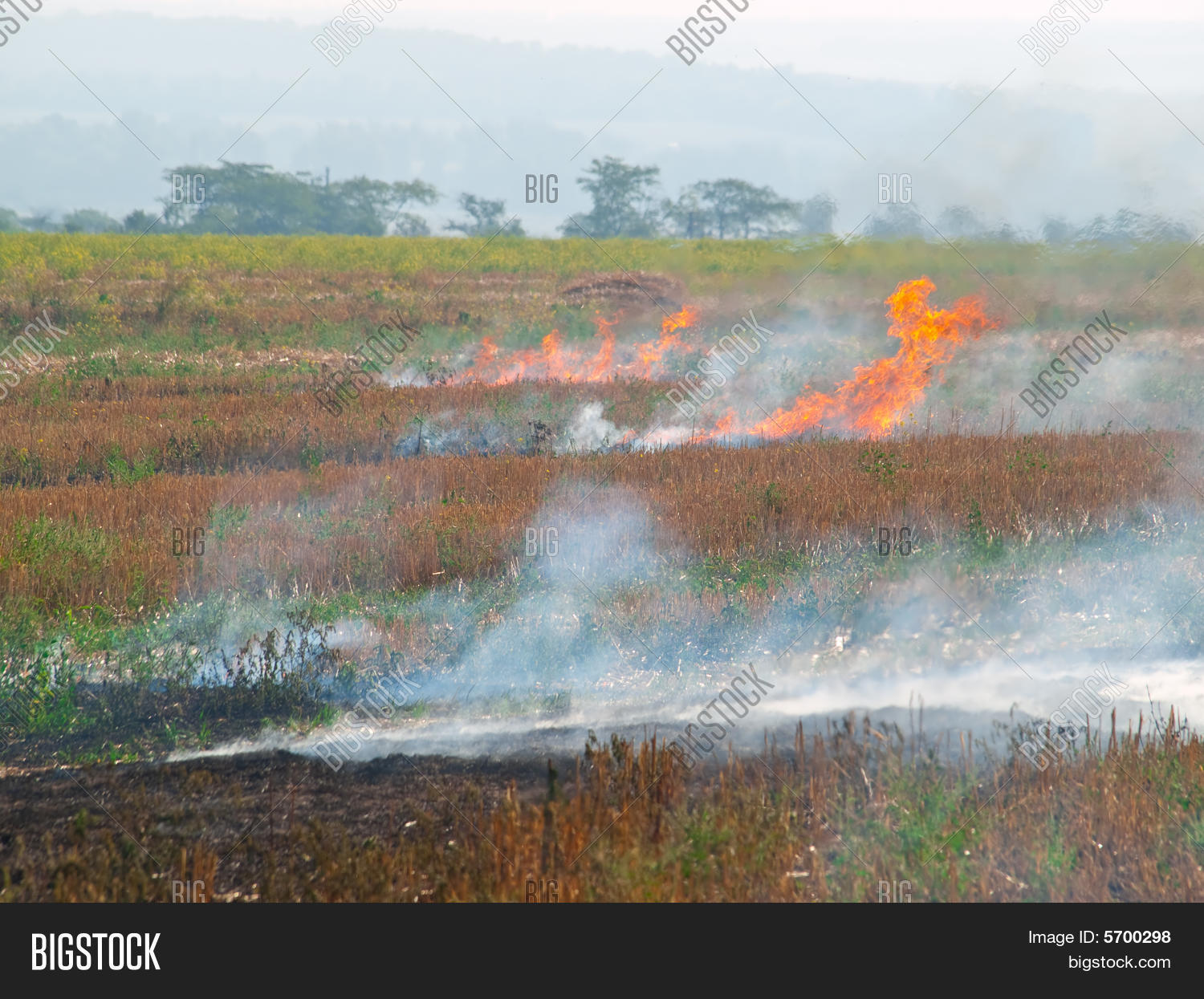 Fire Field Image & Photo (Free Trial) | Bigstock