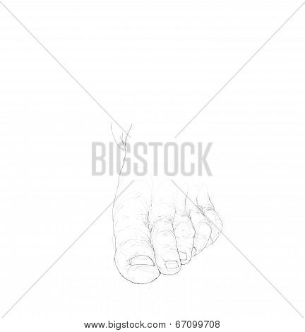 Vector Drawing Foot Vector & Photo (Free Trial) | Bigstock
