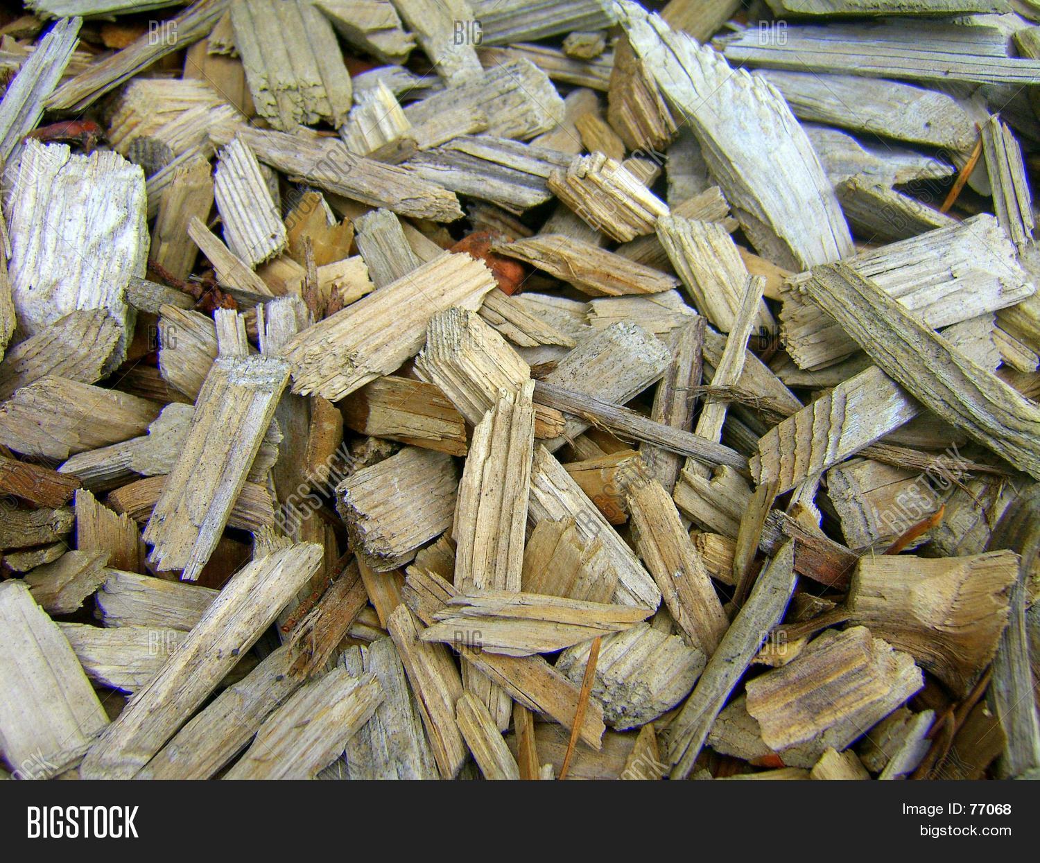 Bark Background Image & Photo (Free Trial) | Bigstock