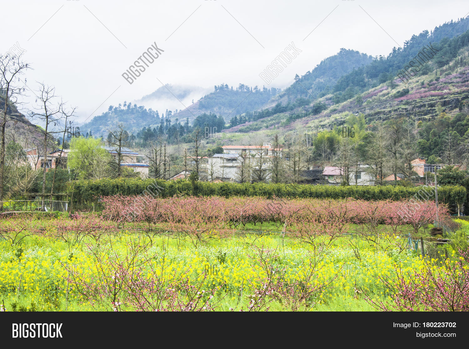 Colorful Countryside Image & Photo (Free Trial) | Bigstock