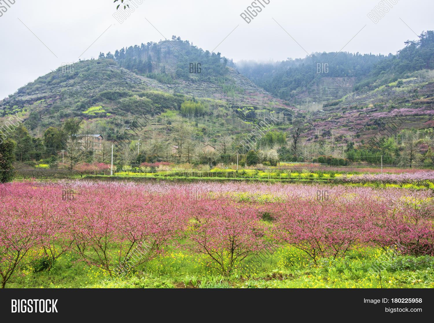 Colorful Countryside Image & Photo (Free Trial) | Bigstock
