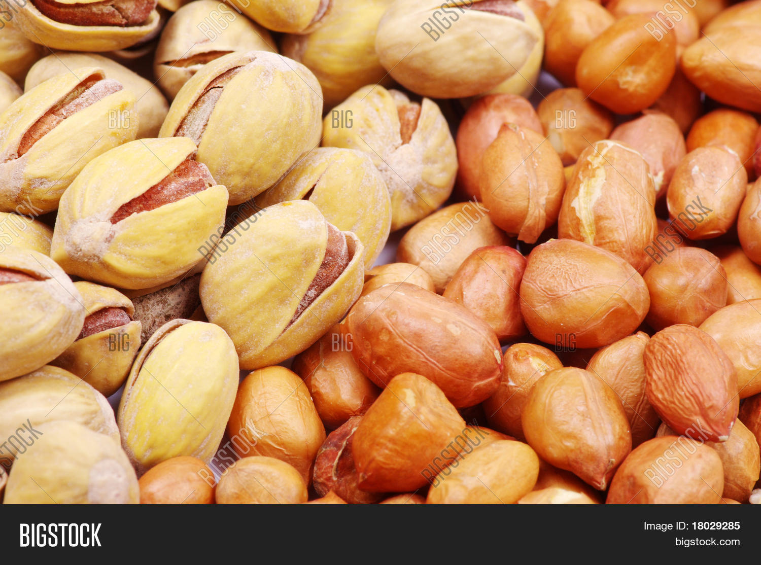 Nuts Assorted Image & Photo (Free Trial) | Bigstock