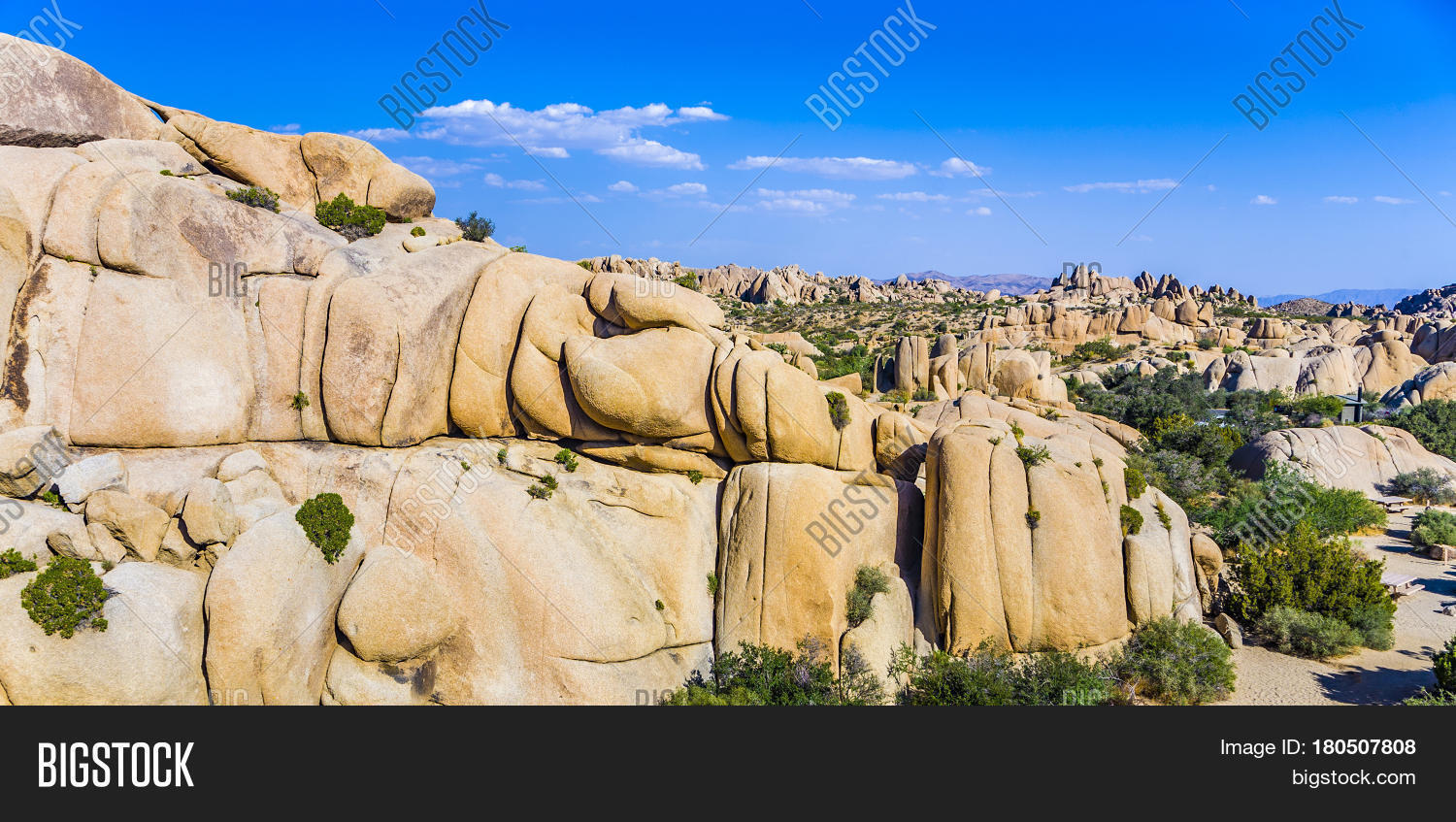 Scenic Rocks Joshua Image & Photo (Free Trial) | Bigstock