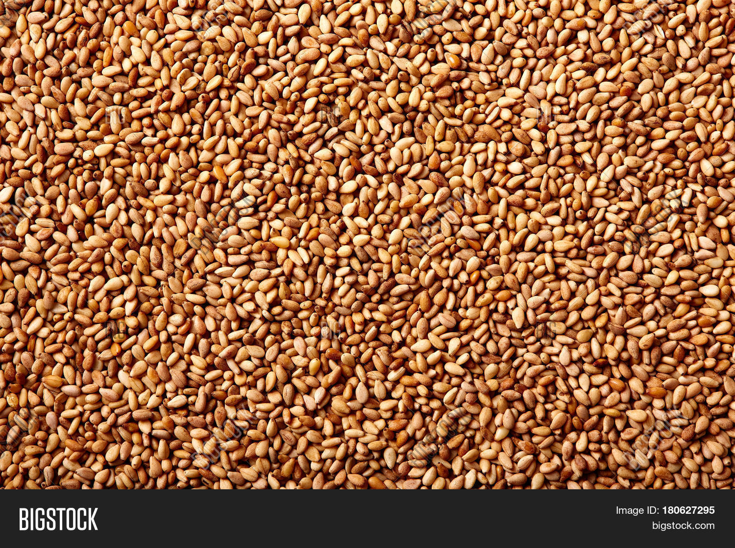 Sesame Seeds Texture Image & Photo (Free Trial) | Bigstock
