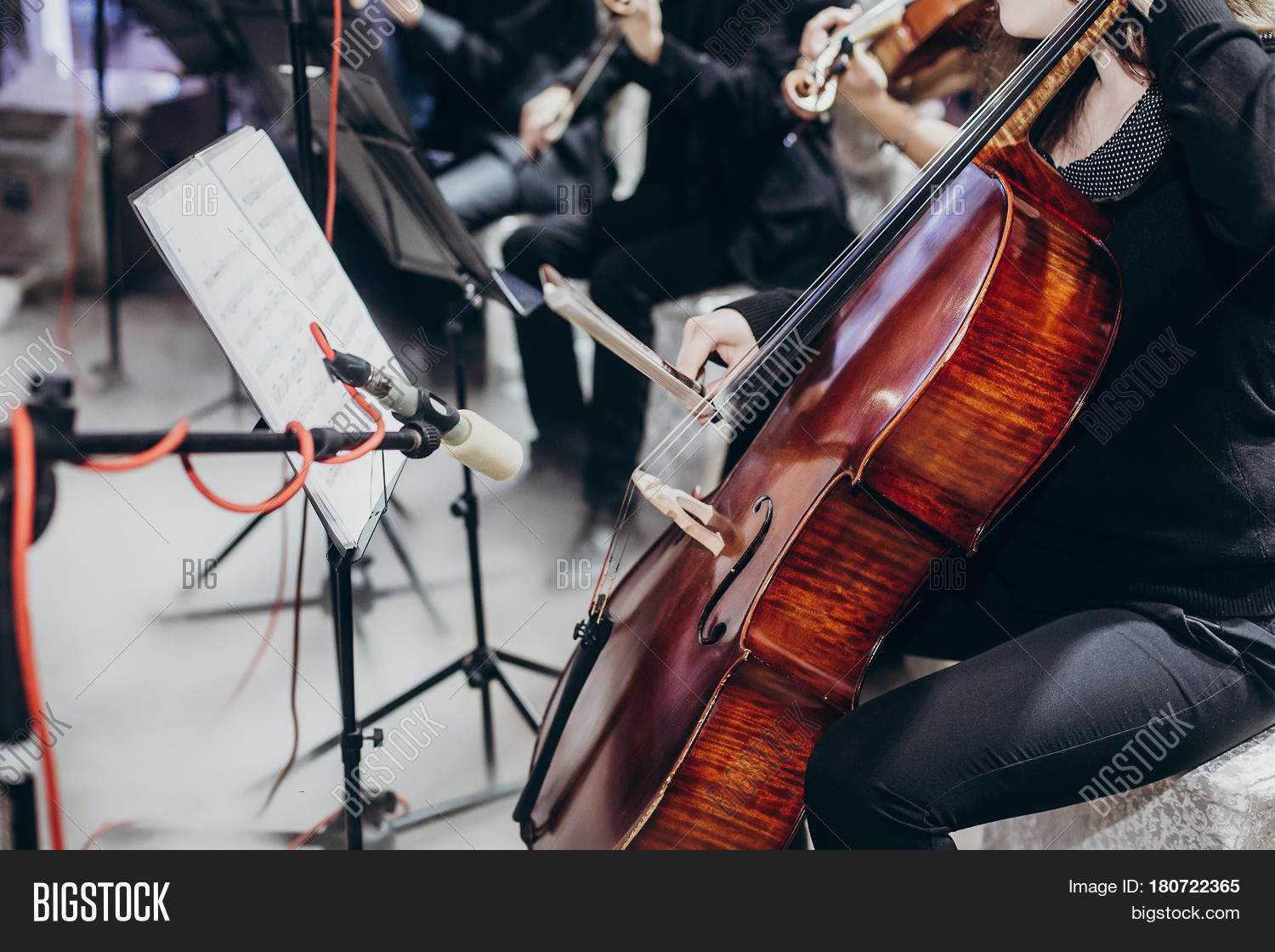 Musician Playing On Image & Photo (Free Trial) | Bigstock