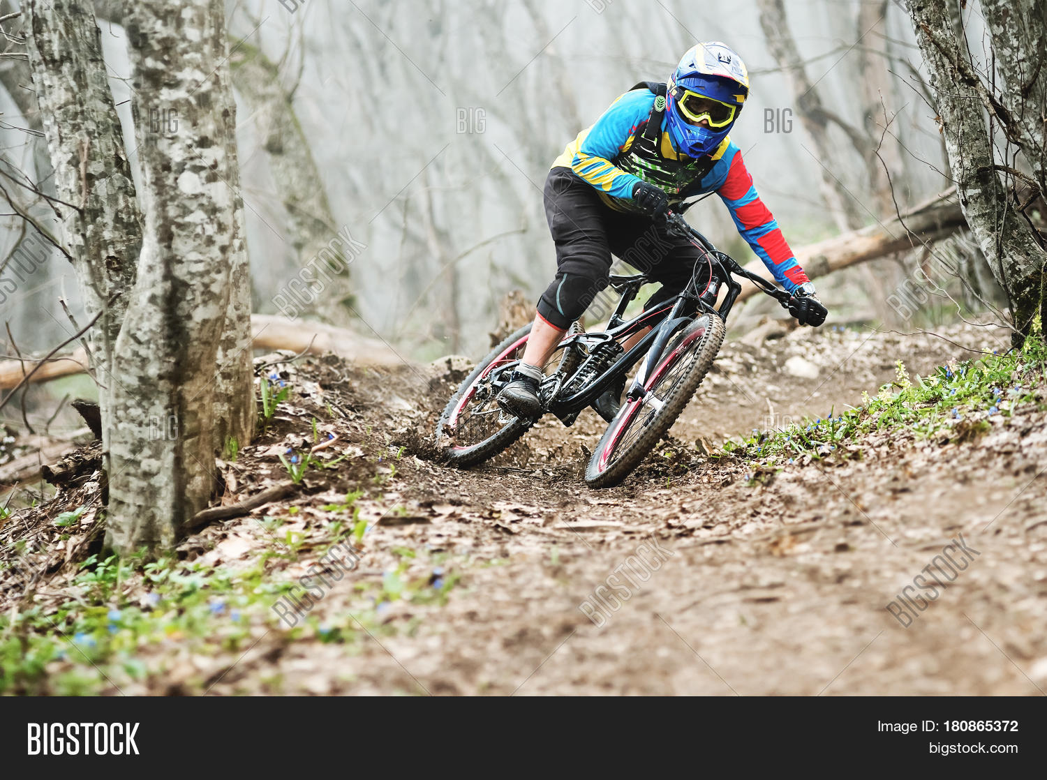 Young Man Full-face Image & Photo (Free Trial) | Bigstock