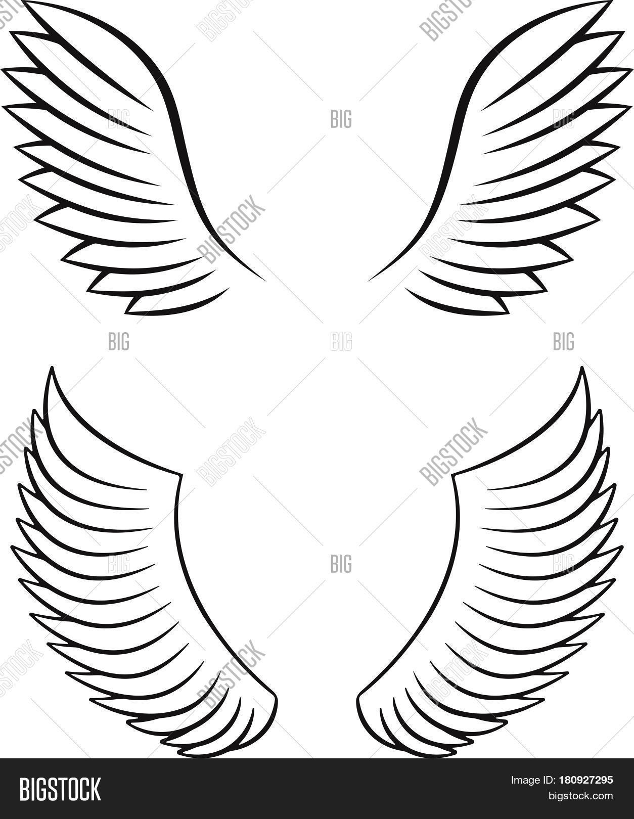 Two Pair Outlined Vector & Photo (Free Trial) | Bigstock