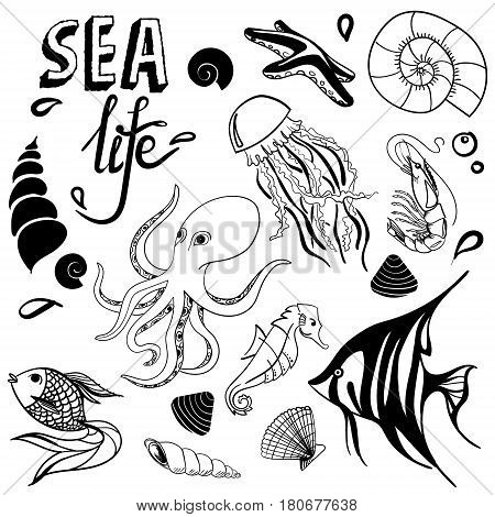 Sea Life Hand Drawn Vector & Photo (Free Trial) | Bigstock