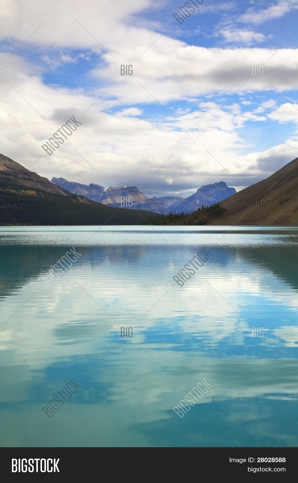 Smooth Surface Image & Photo (Free Trial) | Bigstock