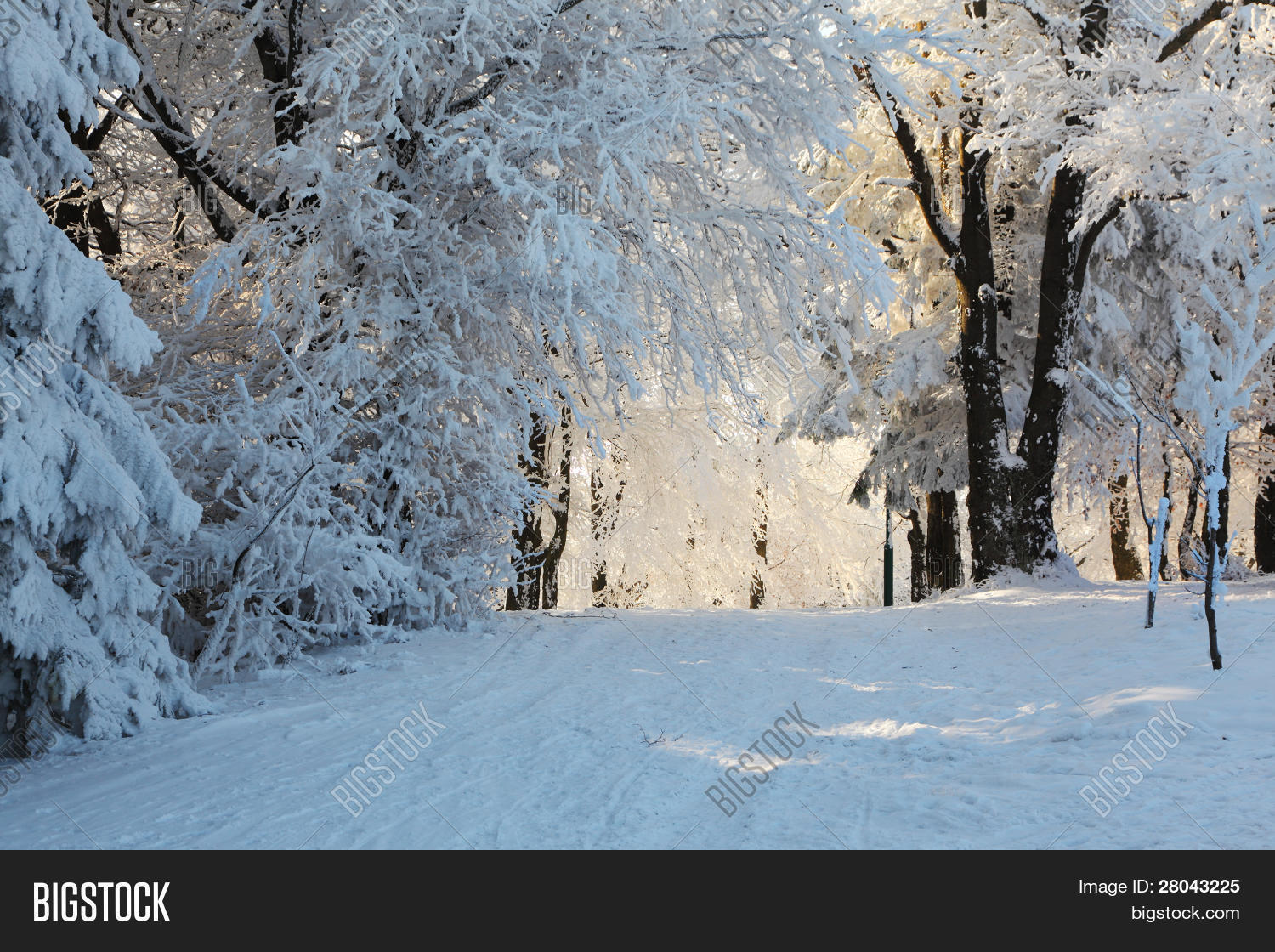 Christmas Morning. Image & Photo (Free Trial) | Bigstock