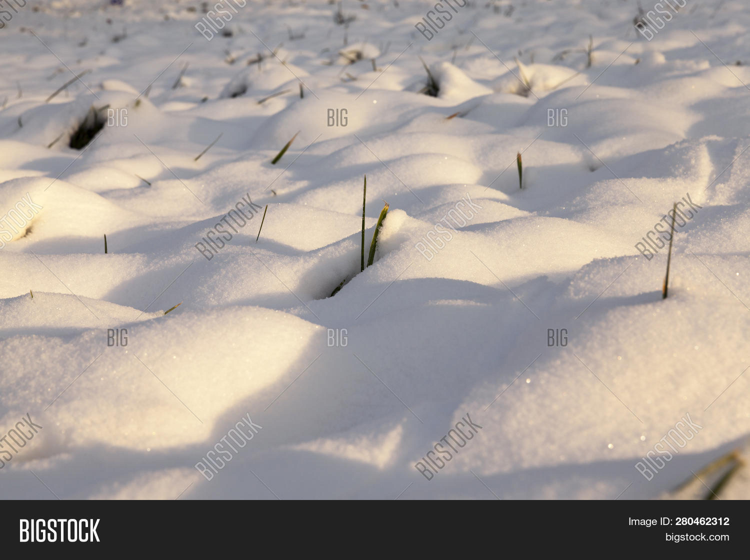 Lying Snow After Last Image & Photo (Free Trial) | Bigstock