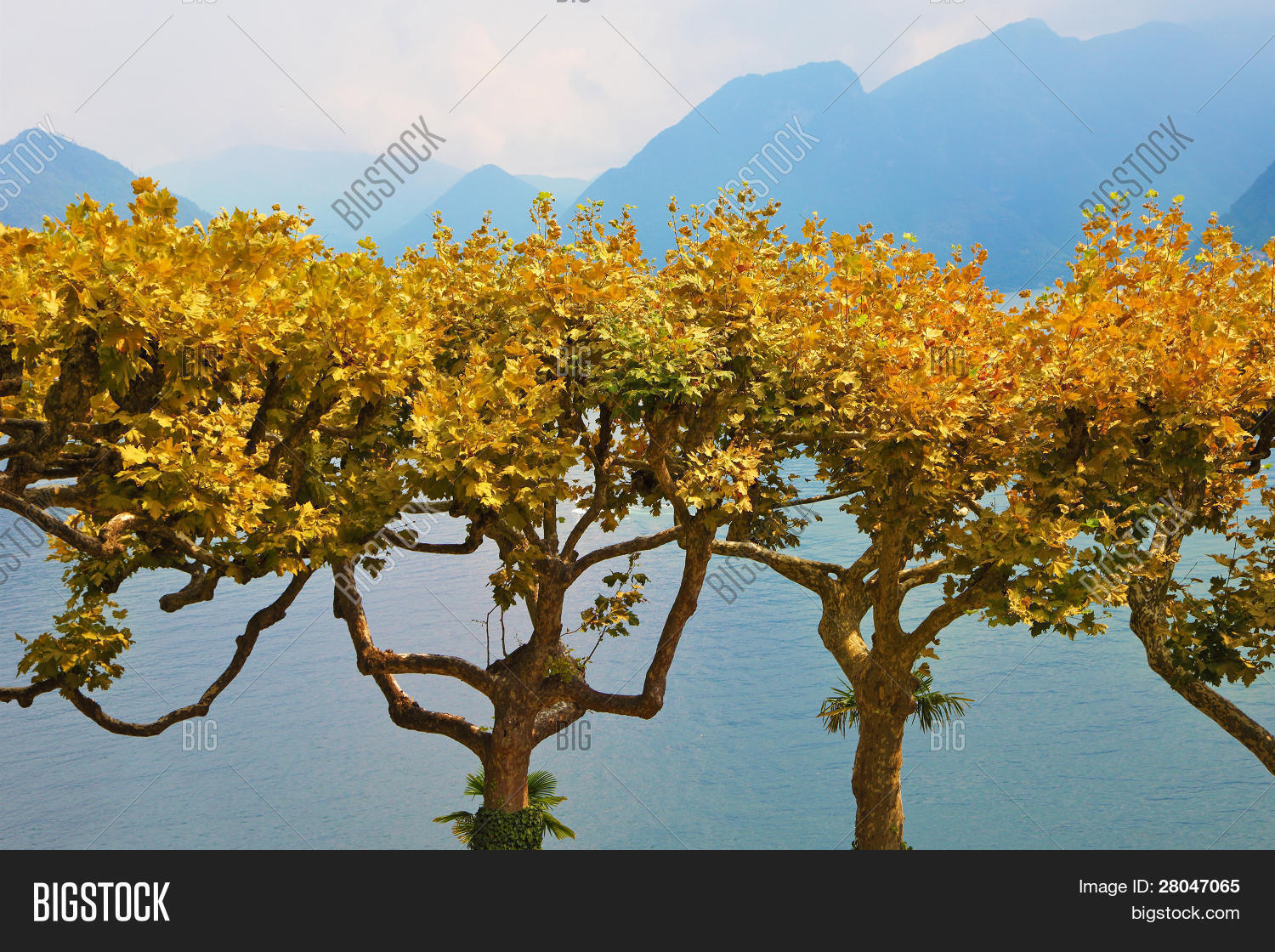Fog On Lake Como. Image & Photo (Free Trial) | Bigstock