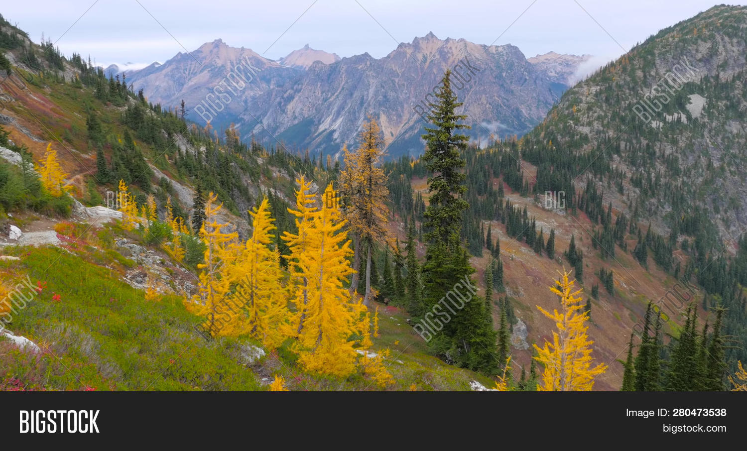 Beautiful Washington Image & Photo (Free Trial) | Bigstock