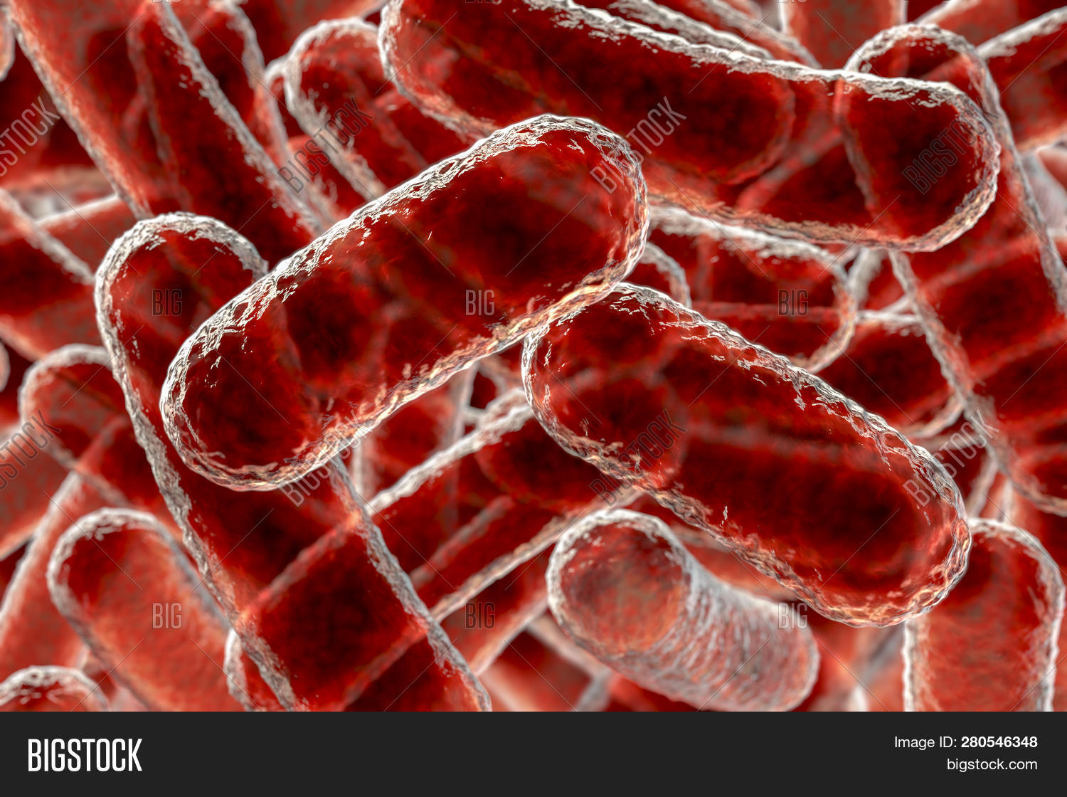 Close View Rod Shaped Image & Photo (Free Trial) | Bigstock