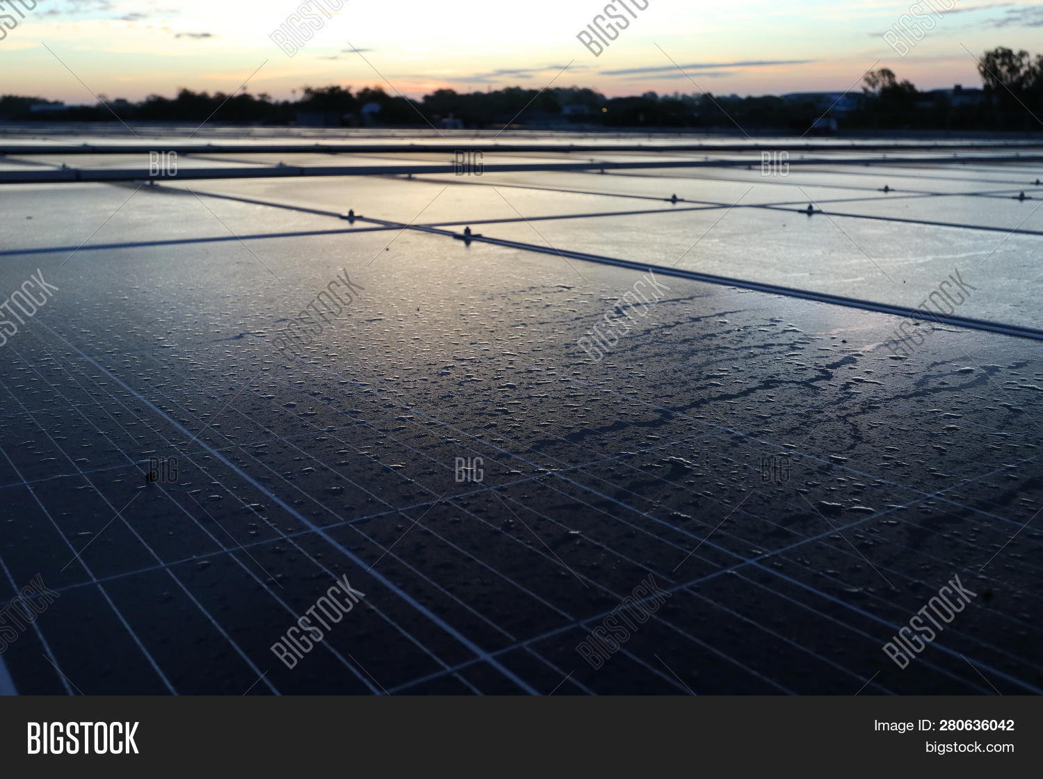 Morning Dewdrop On Image & Photo (Free Trial) | Bigstock