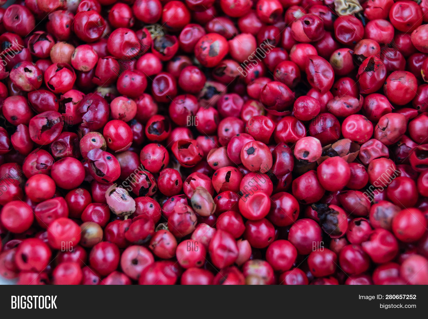 Red Pepper Brazilian Image & Photo (Free Trial) | Bigstock