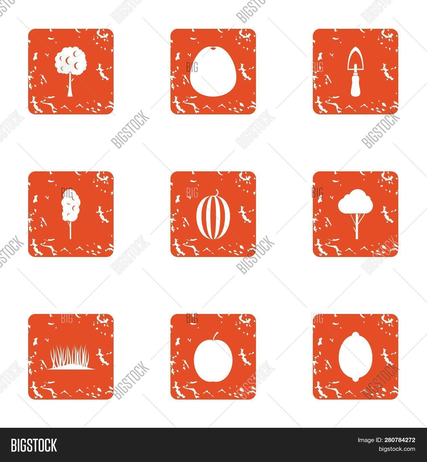 Slow Food Icons Set. Image & Photo (Free Trial) | Bigstock