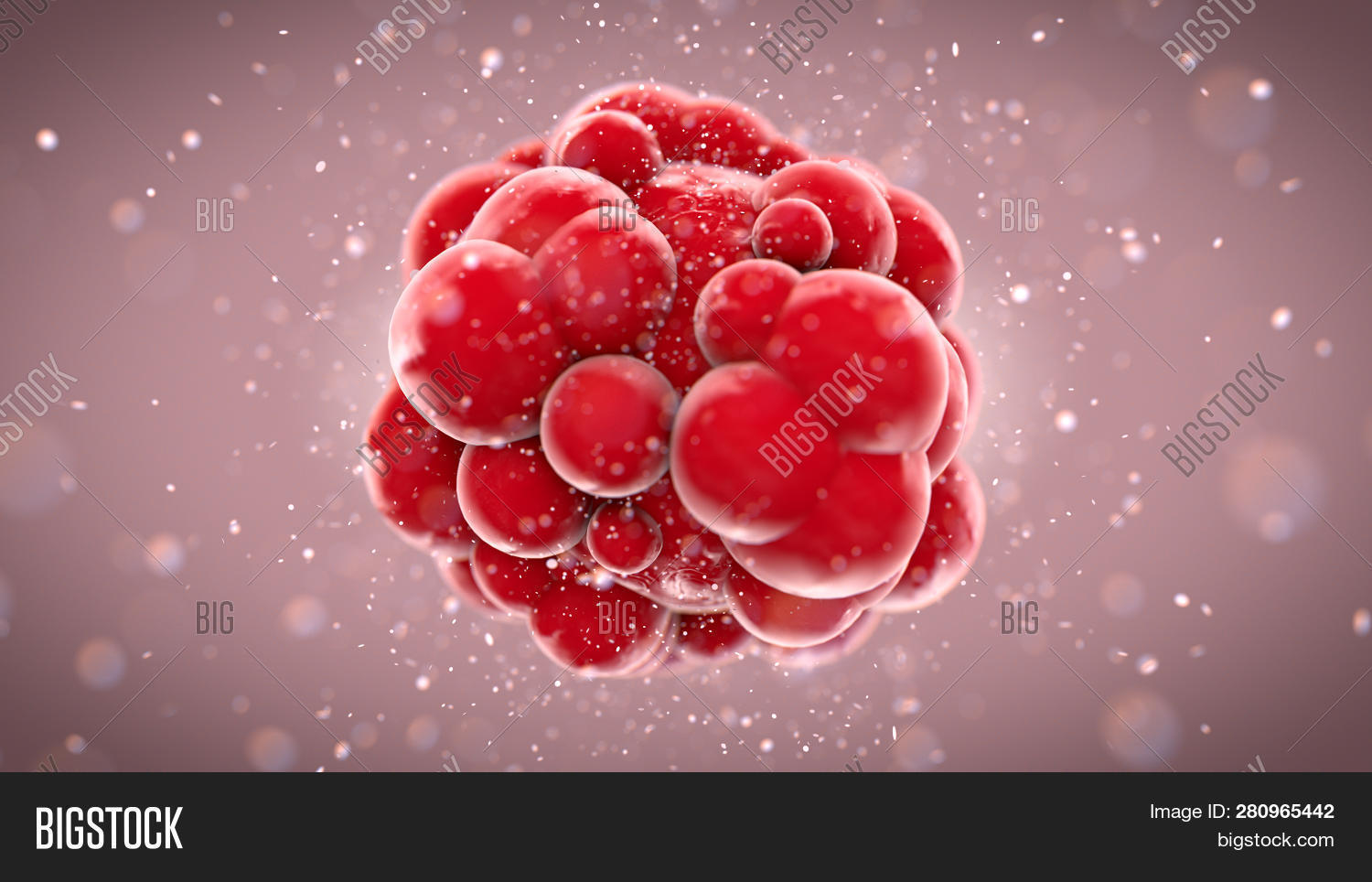 Flesh Cell Growth Image & Photo (Free Trial) | Bigstock