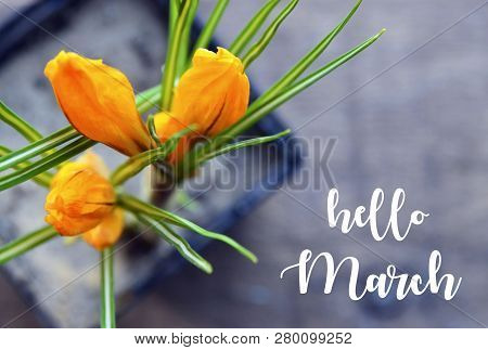 Hello March Greeting Image & Photo (Free Trial) | Bigstock