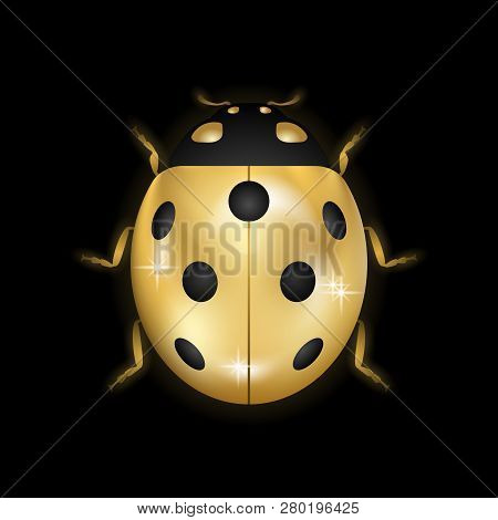 Ladybug Gold Insect Vector & Photo (Free Trial) | Bigstock