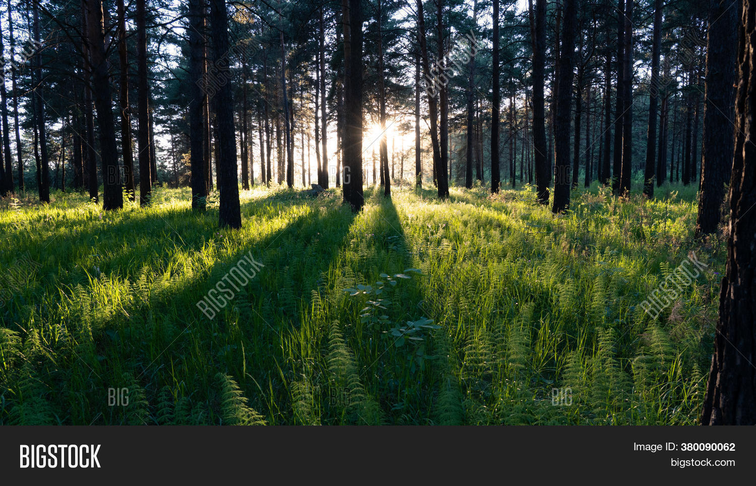 Beautiful Sunset Image & Photo (Free Trial) | Bigstock