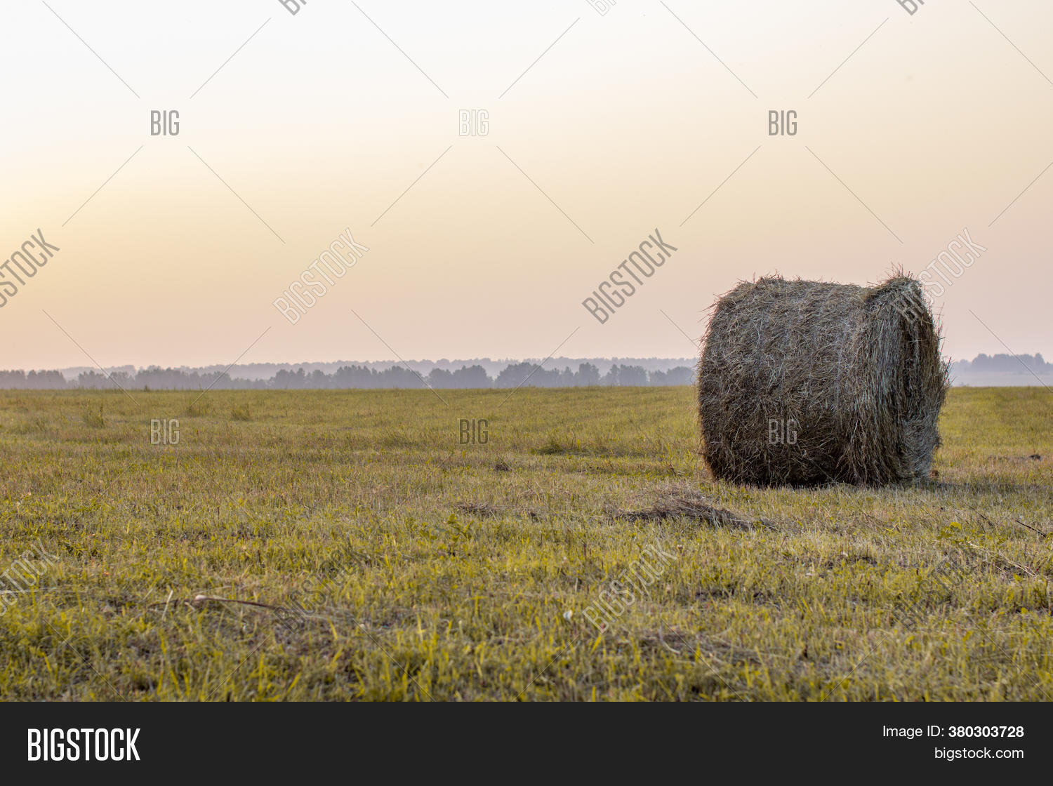 Round Bale Yellow Hay Image & Photo (Free Trial) | Bigstock