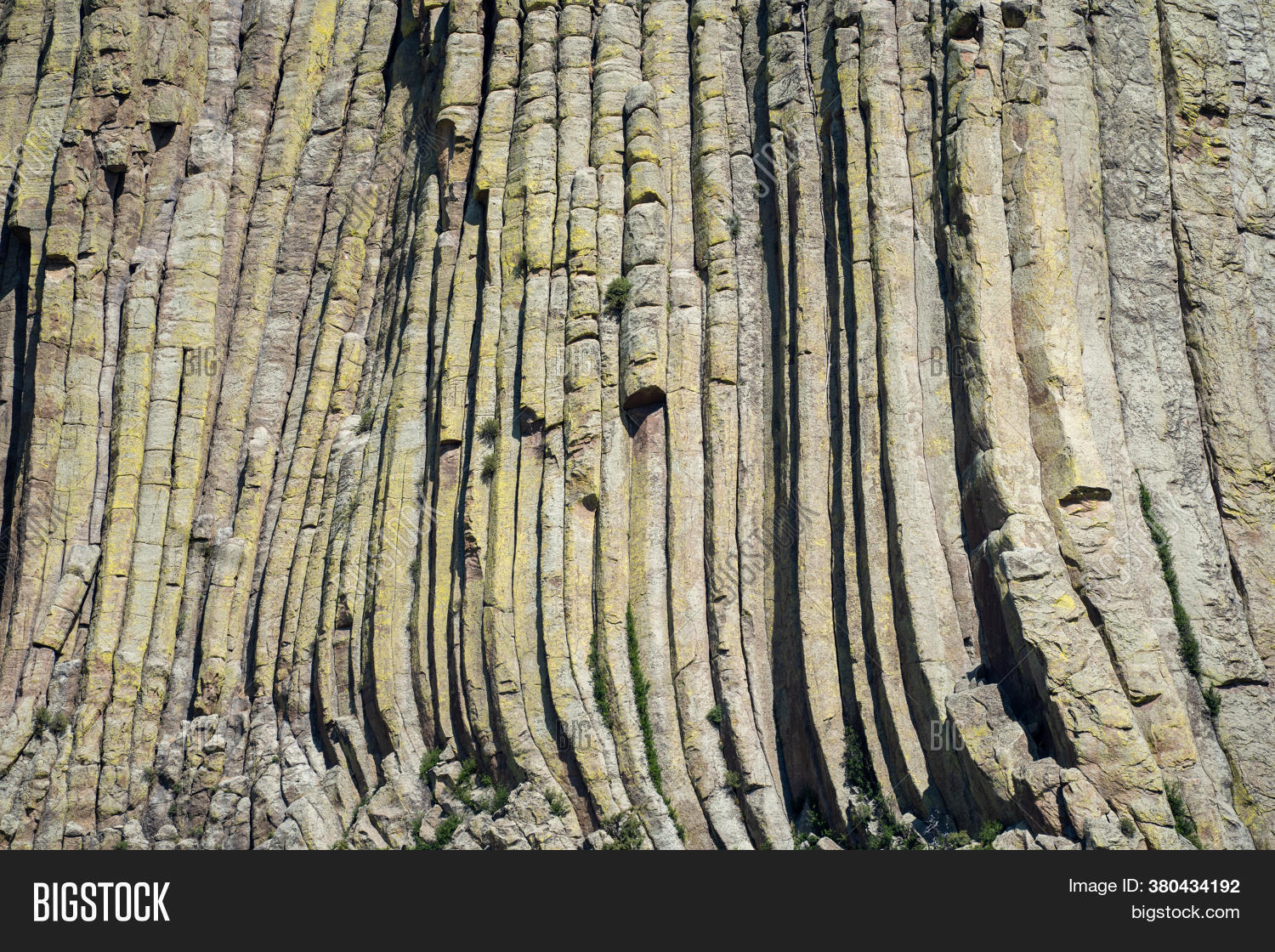 Close Detail View Image & Photo (Free Trial) | Bigstock