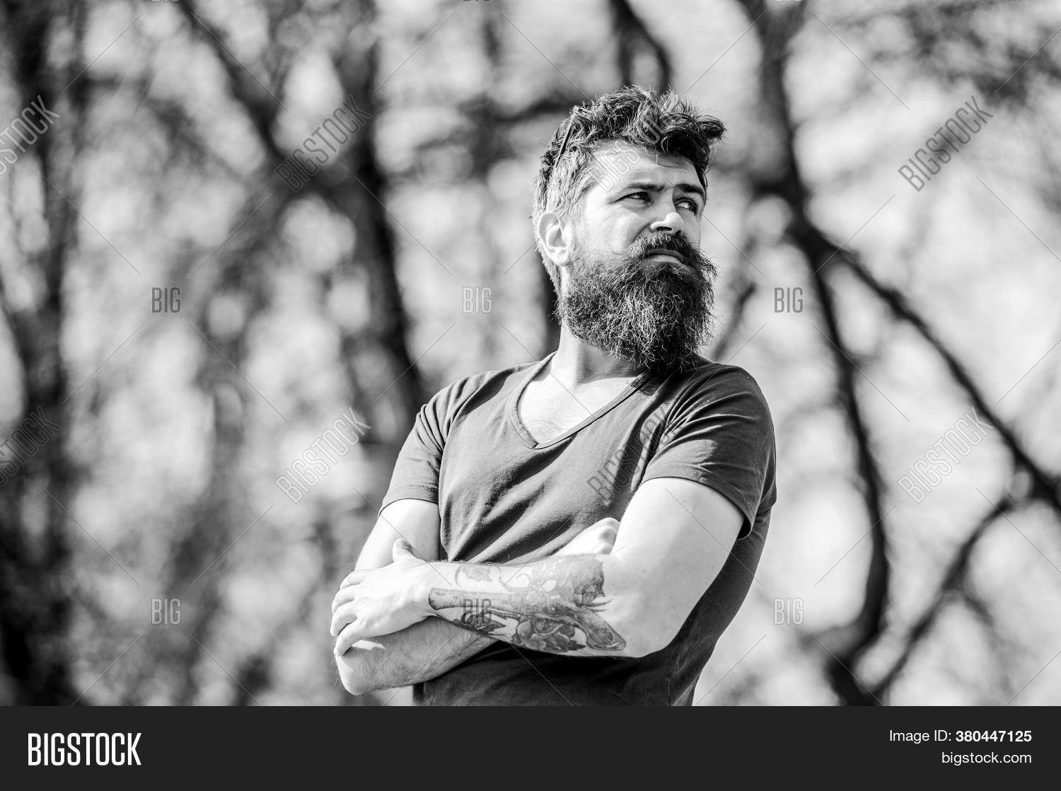 Man Attractive Bearded Image & Photo (Free Trial) | Bigstock