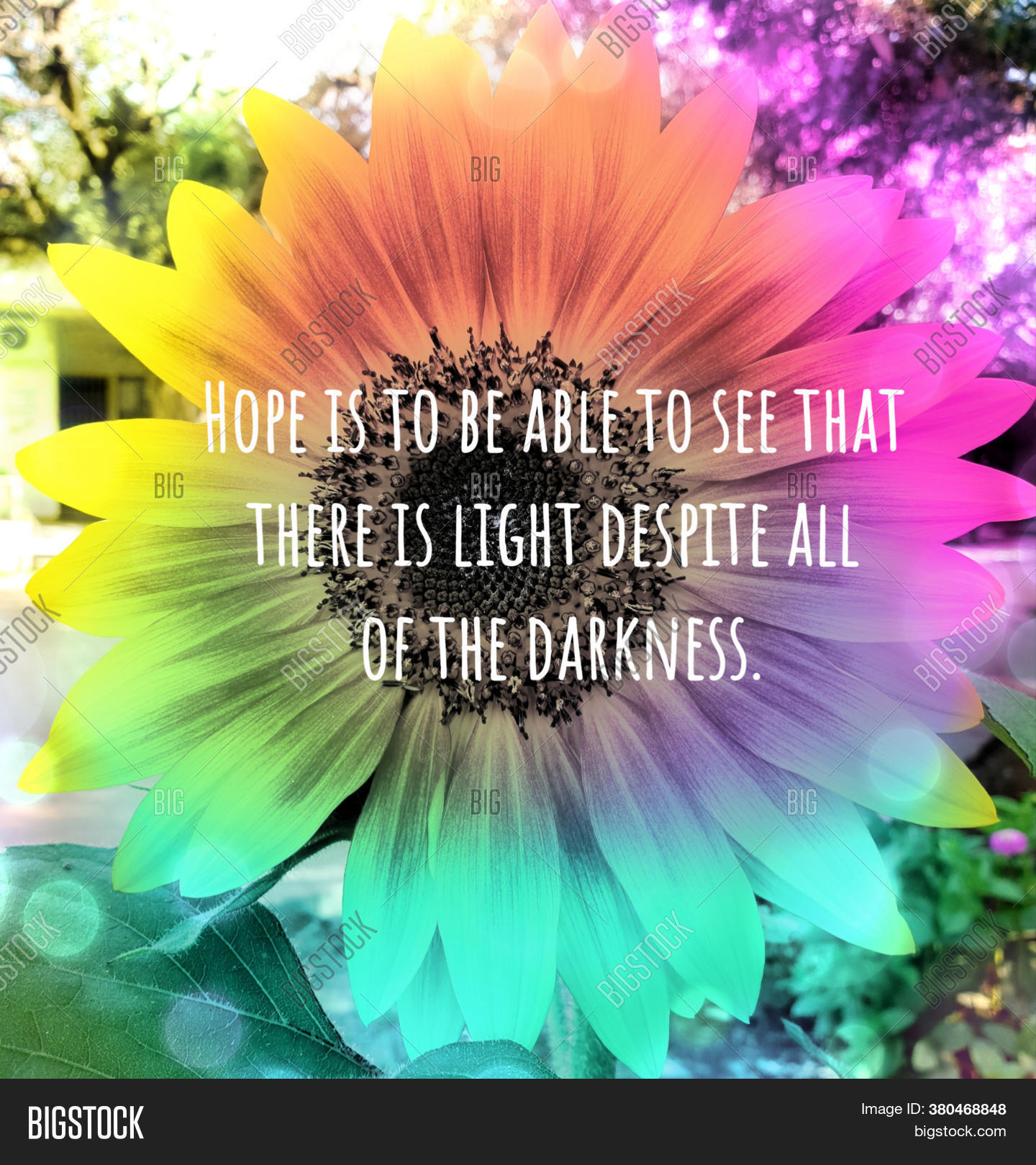 Hope Be Able See That Image & Photo (Free Trial) | Bigstock