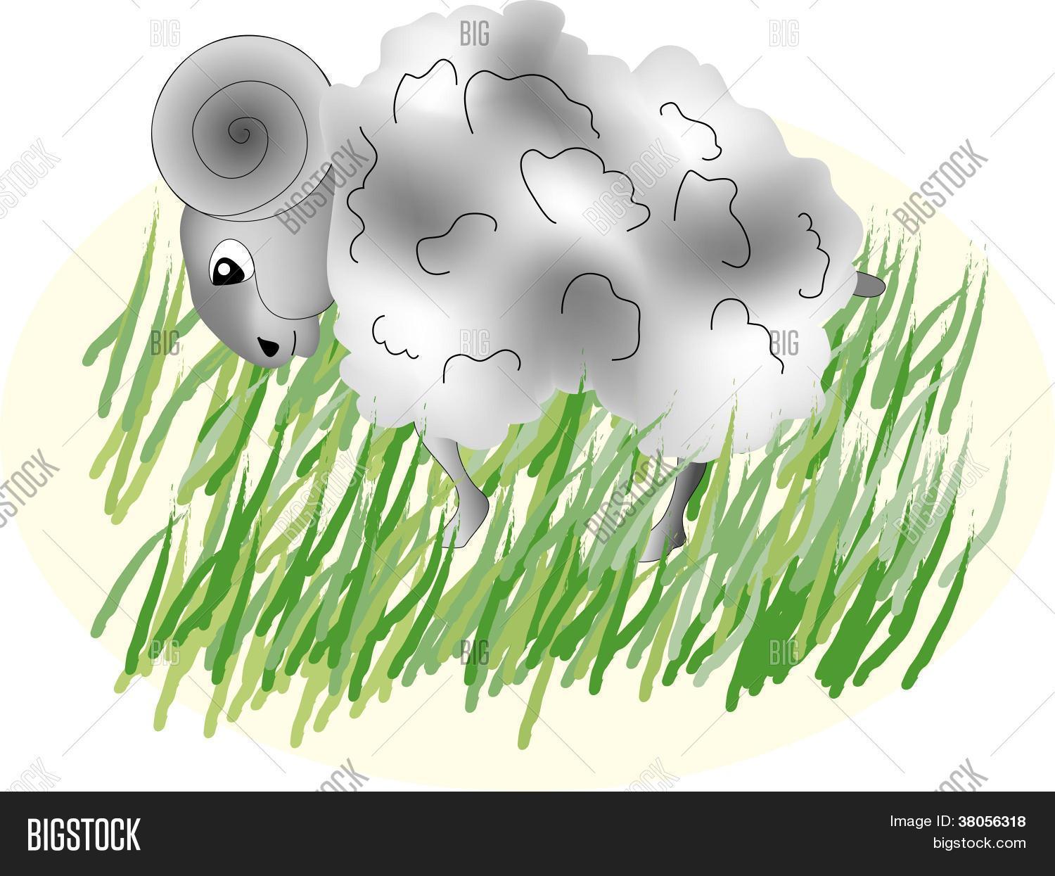 Vector y foto Ovejas De Vector (prueba gratis) | Bigstock