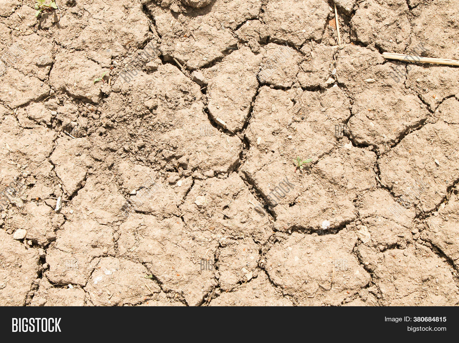 Cracked Clay Texture. Image & Photo (Free Trial) | Bigstock