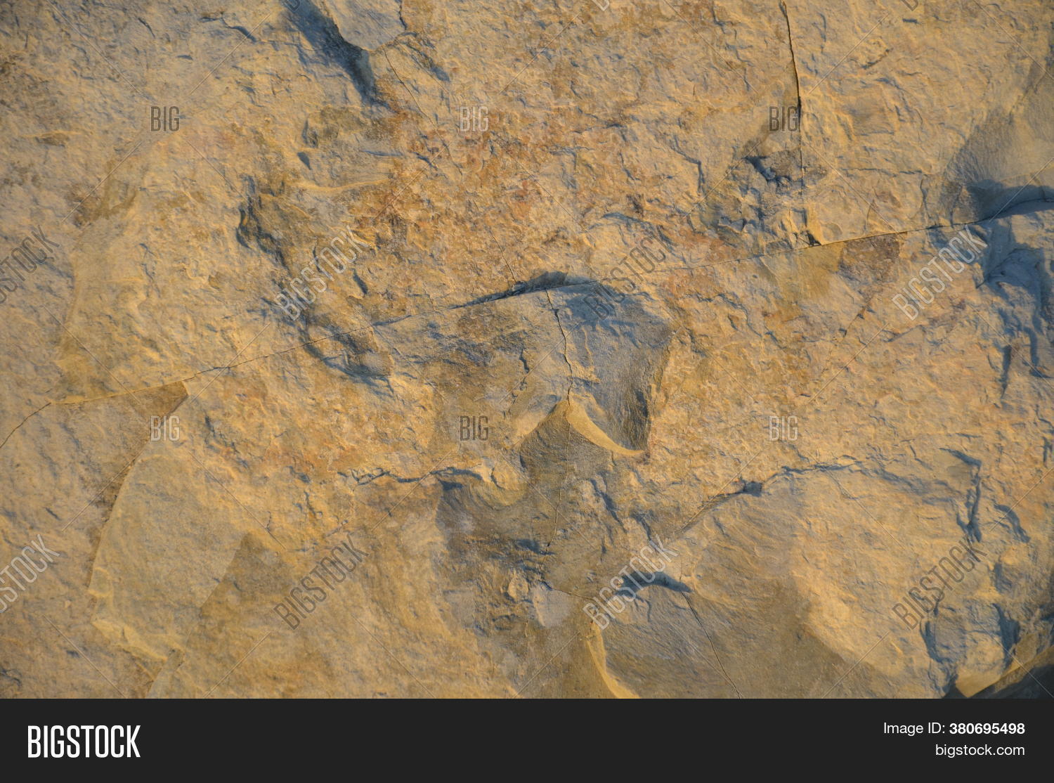 Details Sand Stone Image & Photo (Free Trial) | Bigstock