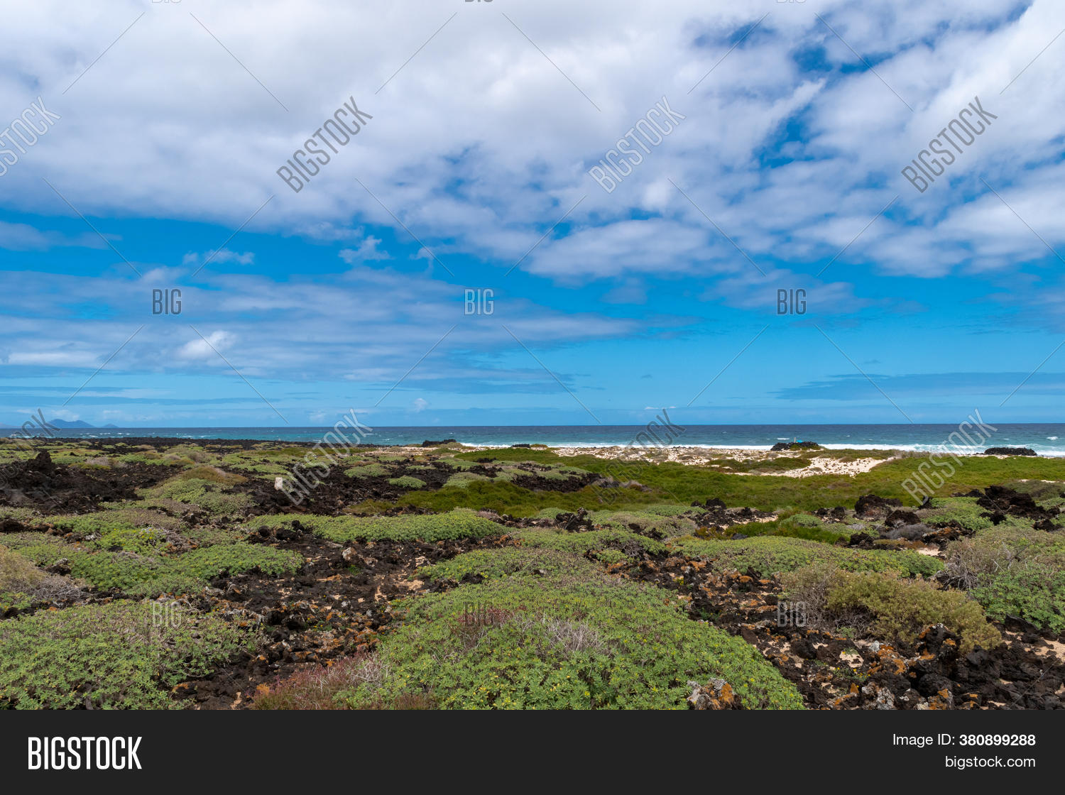 Rocky Beach Caleton Image & Photo (Free Trial) | Bigstock