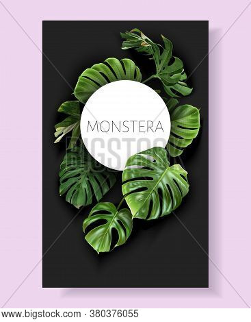 Vector Monstera Frame Vector & Photo (Free Trial) | Bigstock