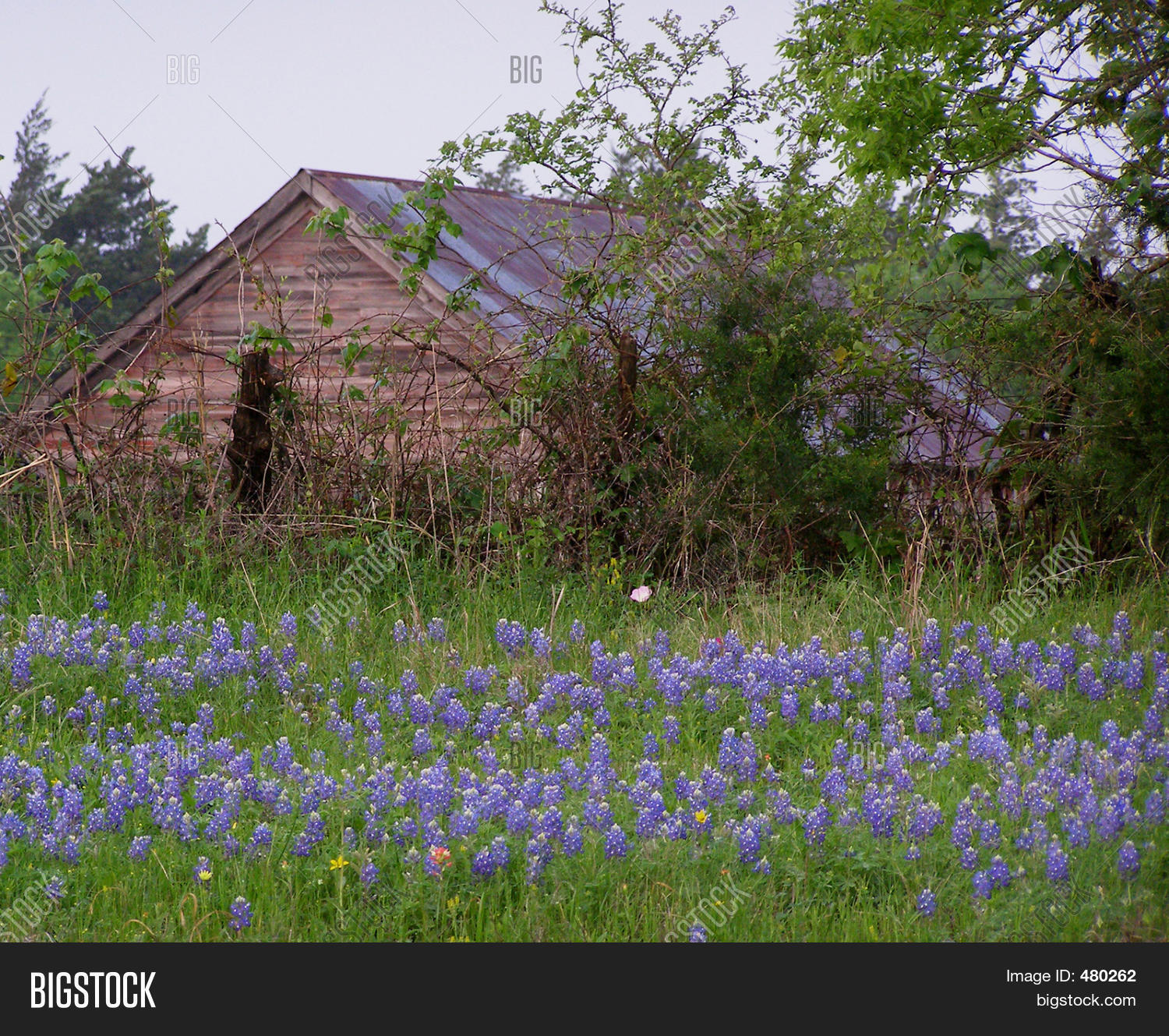 Rustic Texas Barn Image & Photo (Free Trial) | Bigstock