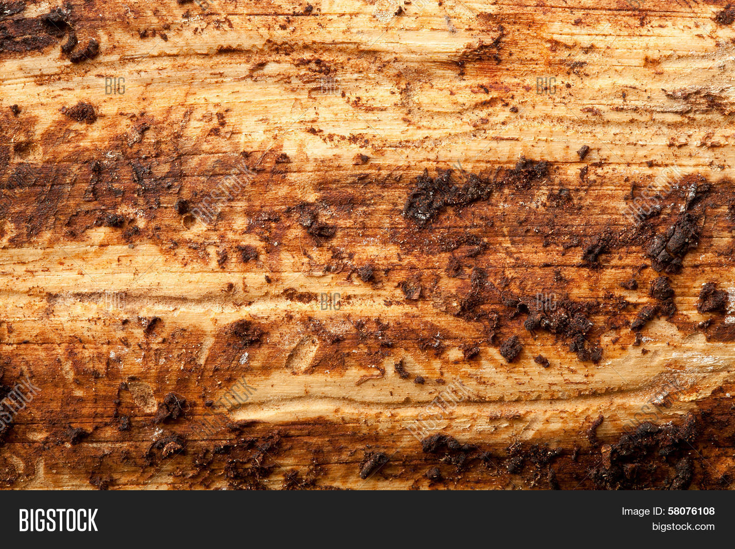 Muddy Wood Texture Image & Photo (Free Trial) | Bigstock