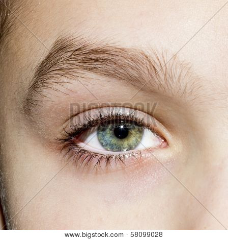 Young Stare Glare Glance Images, Illustrations & Vectors (Free) - Bigstock