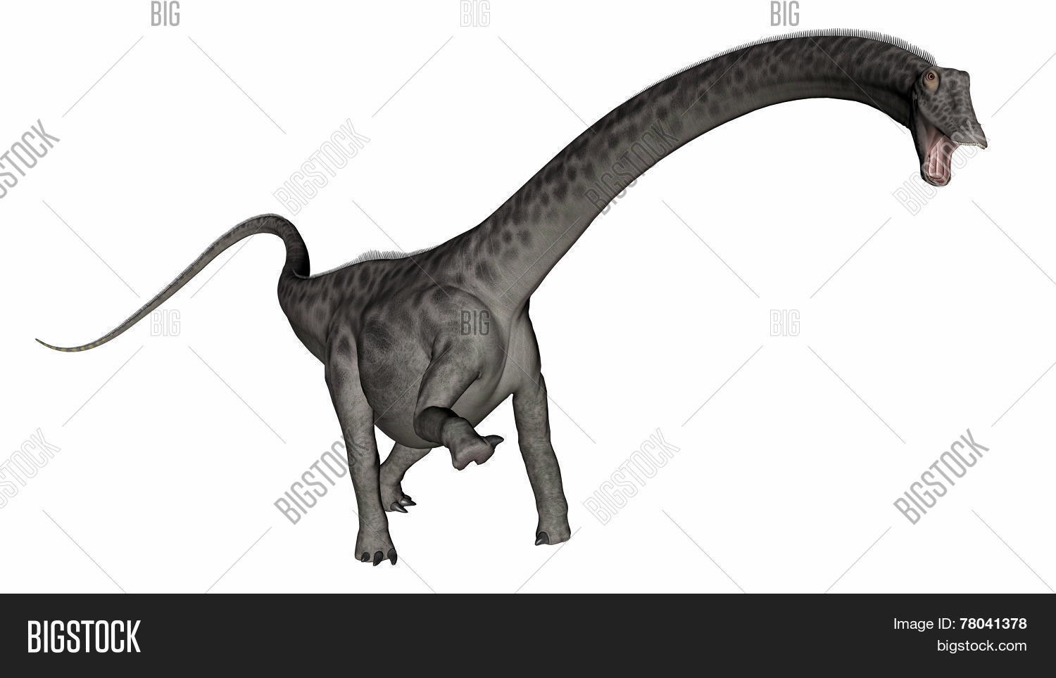 Diplodocus Dinosaur Image & Photo (Free Trial) | Bigstock