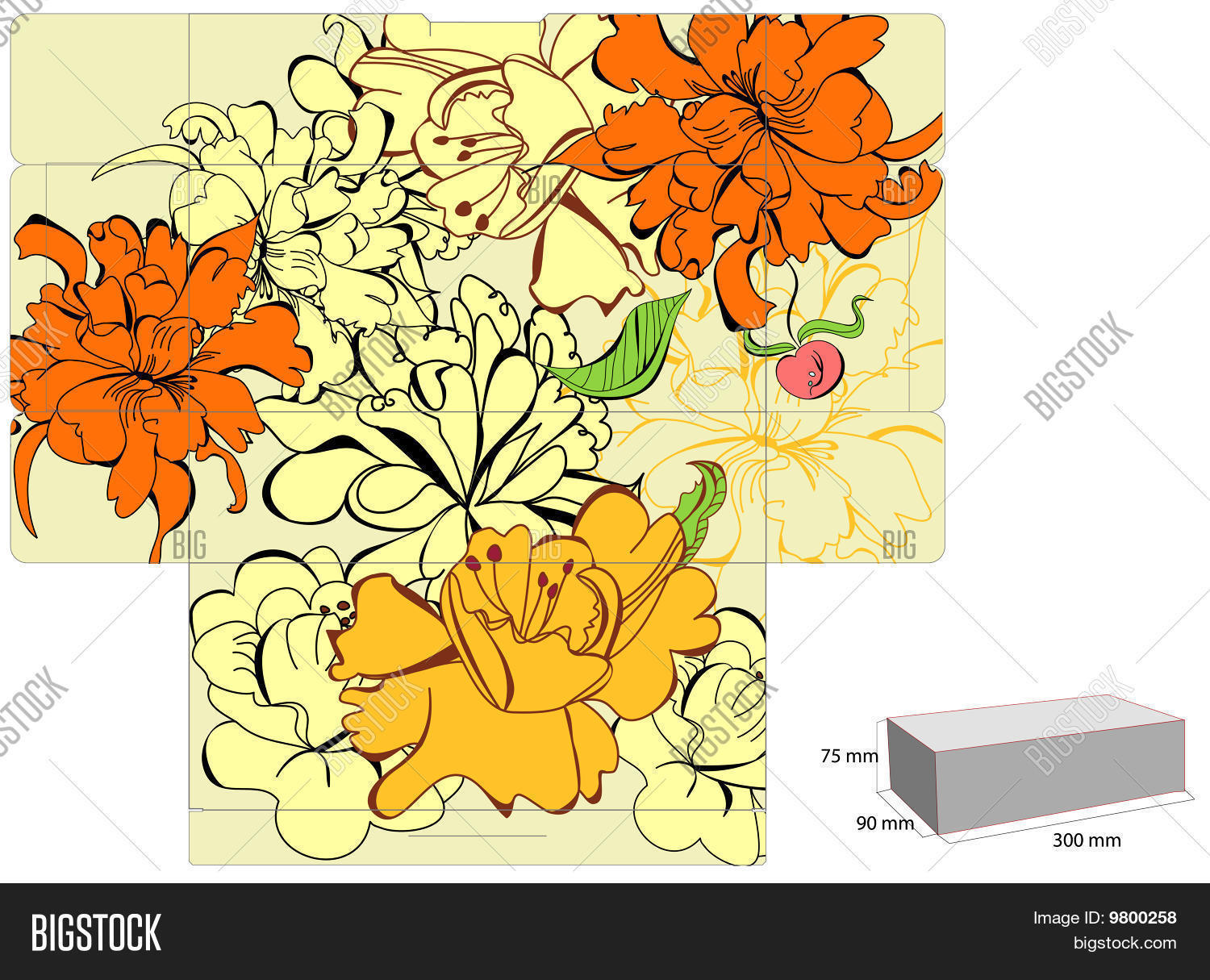 Colorful Template Box Vector & Photo (Free Trial) | Bigstock