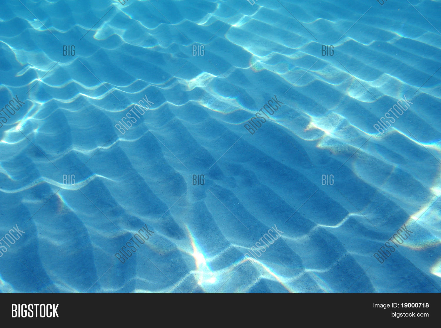 Imagen y foto Fondo Marino - (prueba gratis) | Bigstock