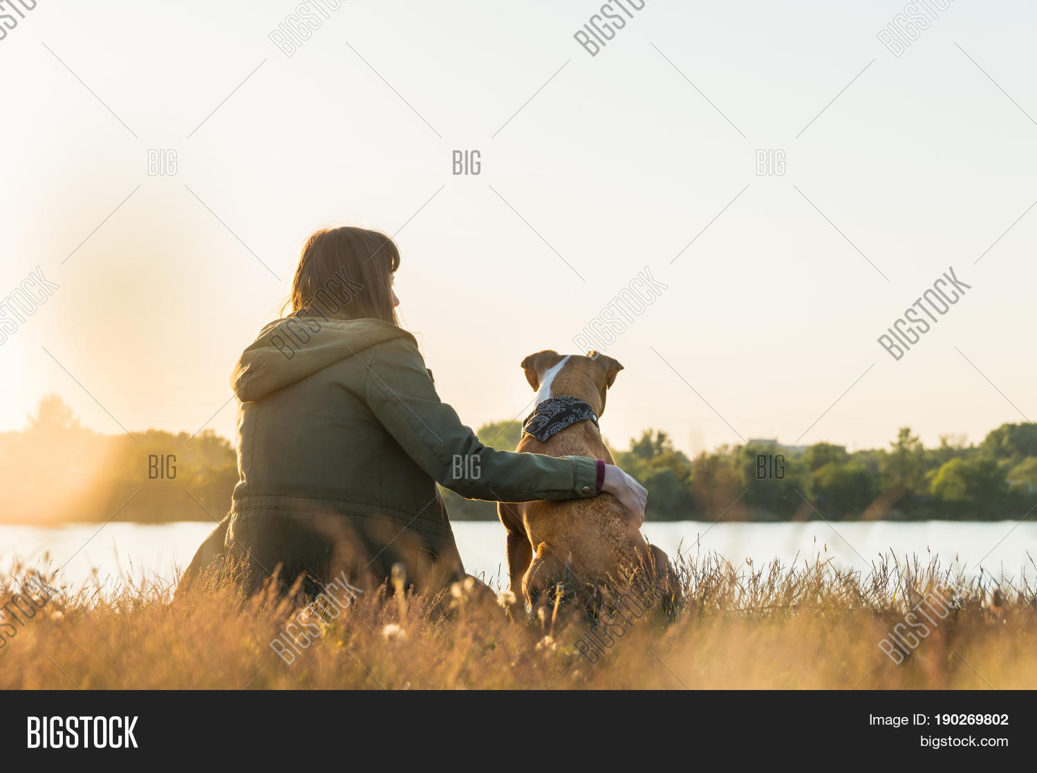 Dog Owner Her Pet Sit Image & Photo (Free Trial) | Bigstock