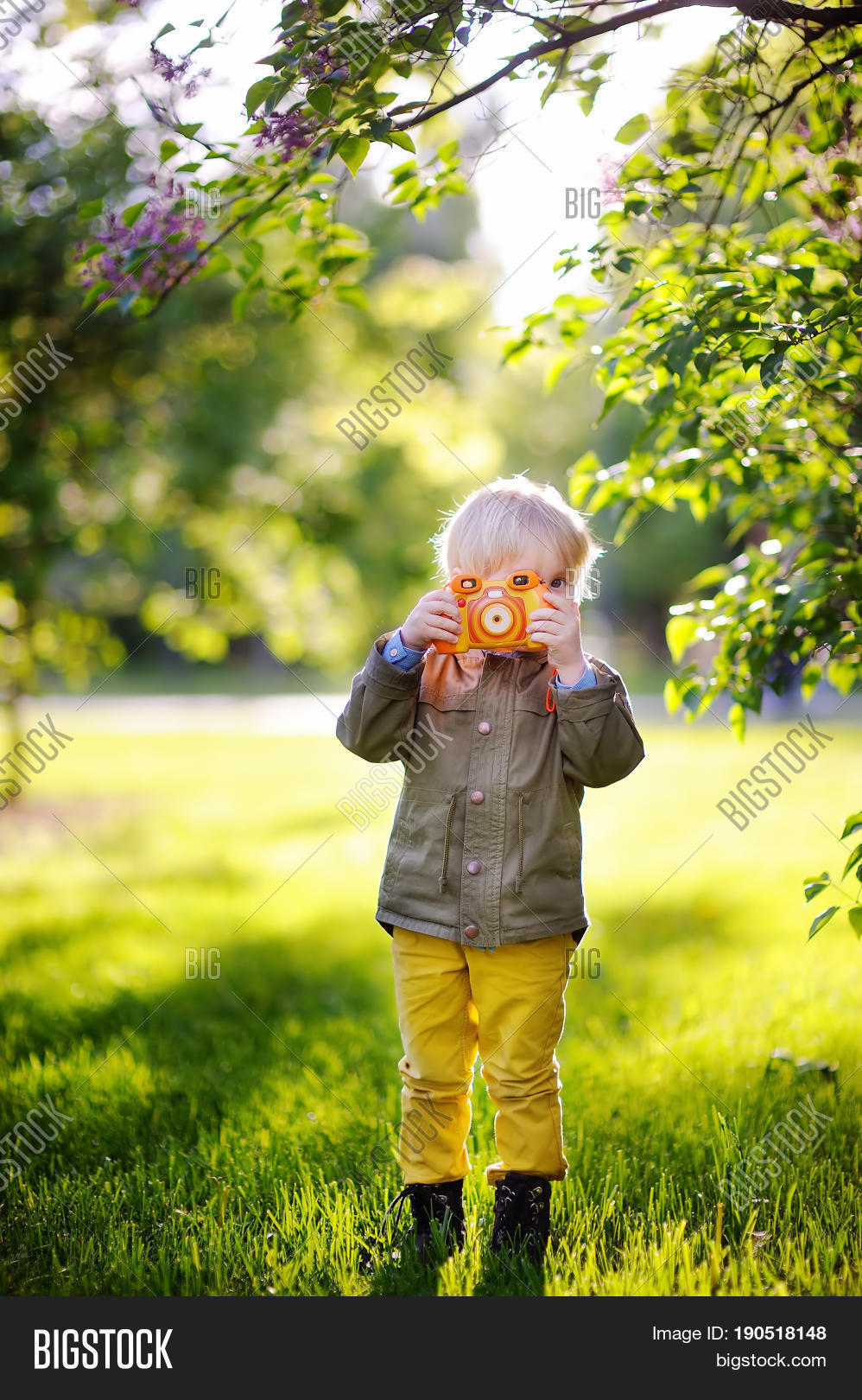 Cute Little Kid Boy Image & Photo (Free Trial) | Bigstock